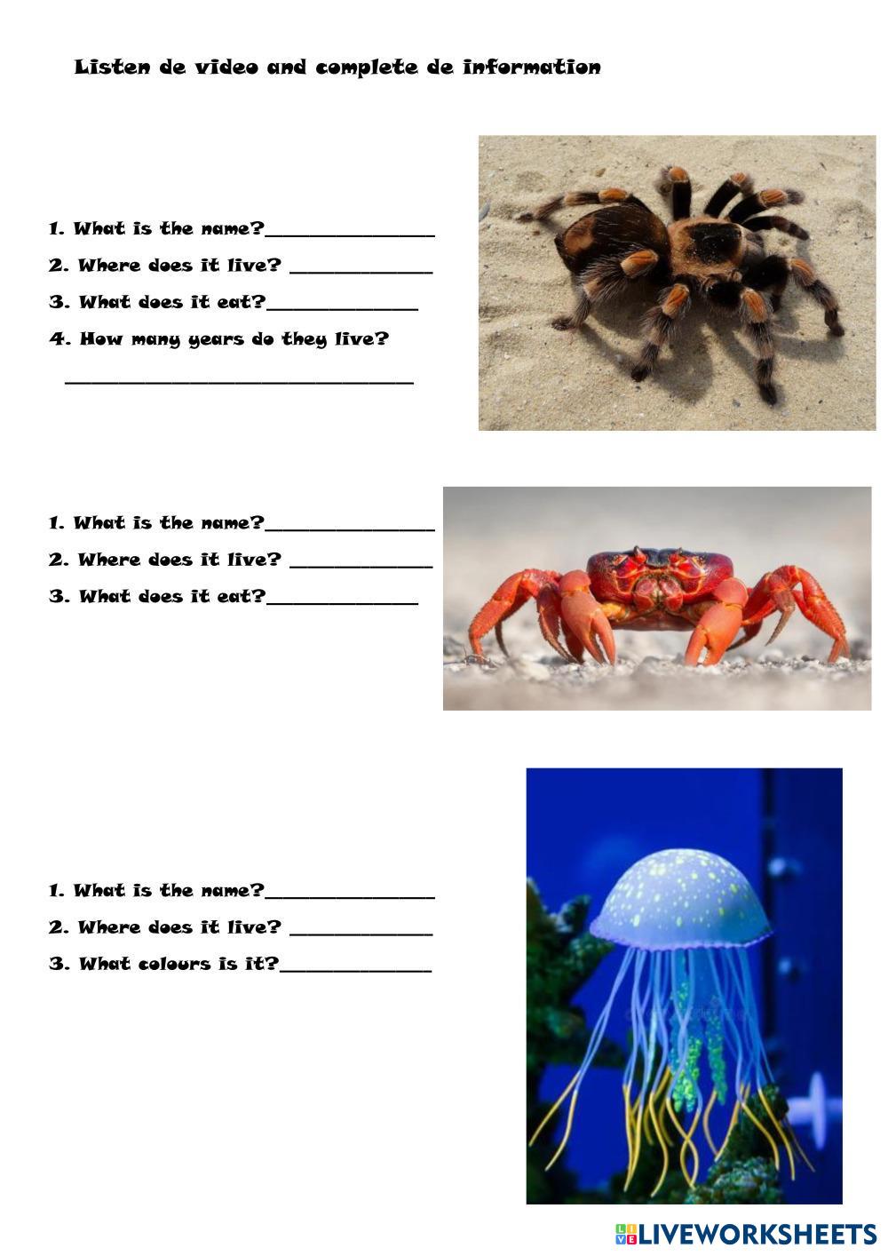 listen about in… | Science Worksheets | 8332799