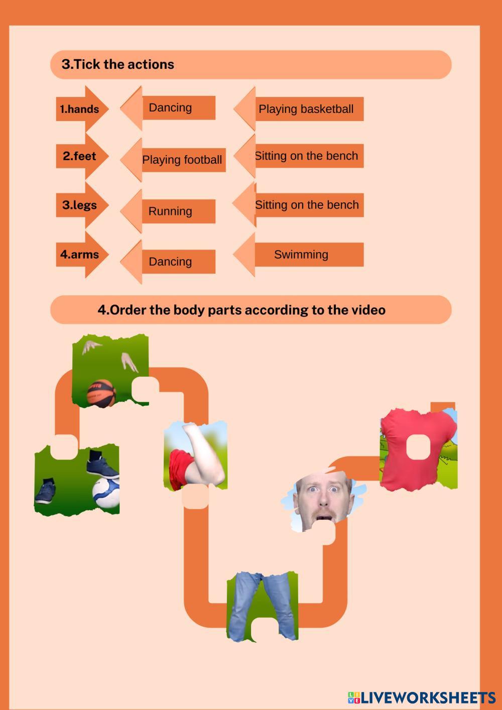 body parts | ESL Worksheets | 8334921